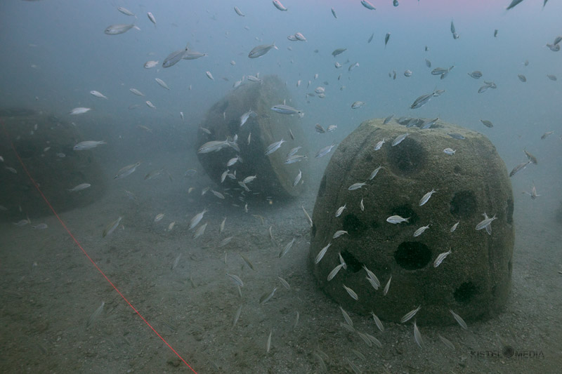 Reef Balls Have Landed | TISIRI