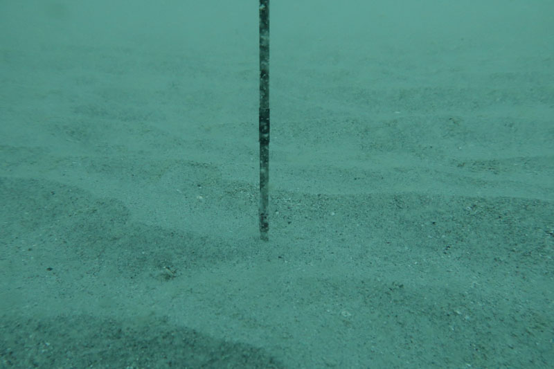 Site Selection For Tugboat Reef | TISIRI